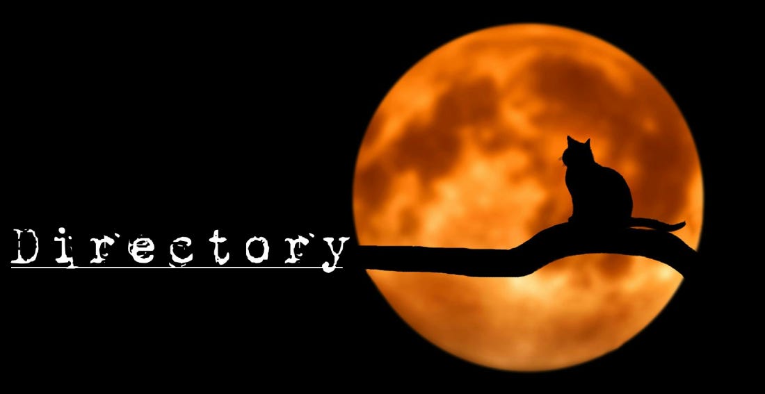 Directory of Posts - Sam’s Substack