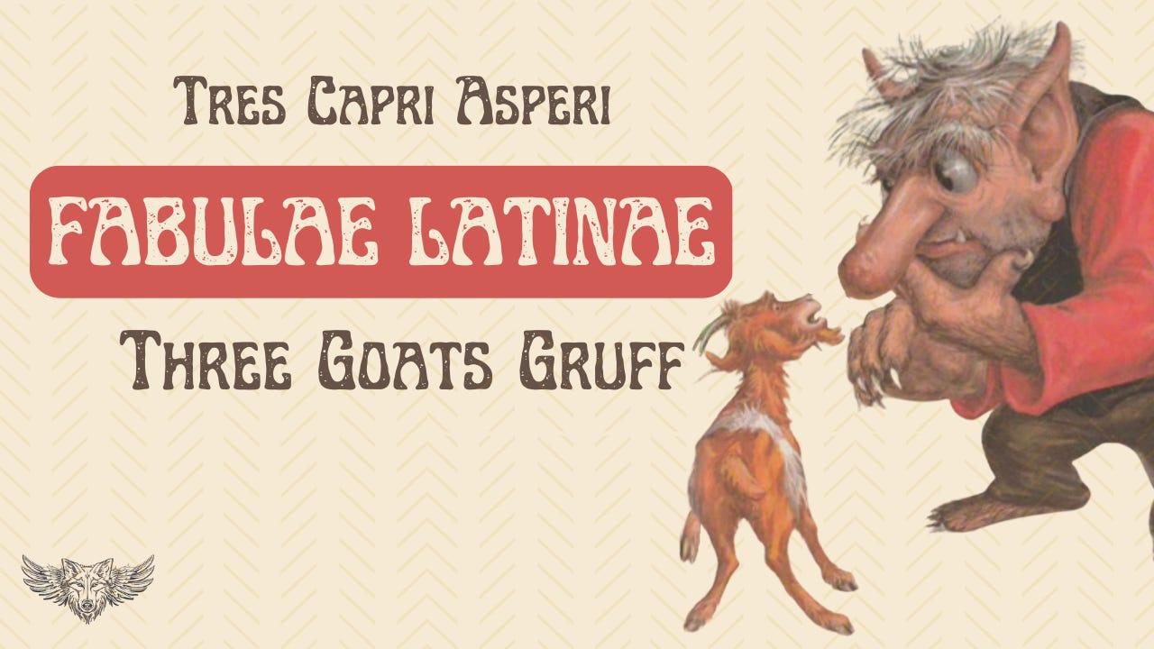 Watch Three Goats Gruff in Latin - Lupus Alatus