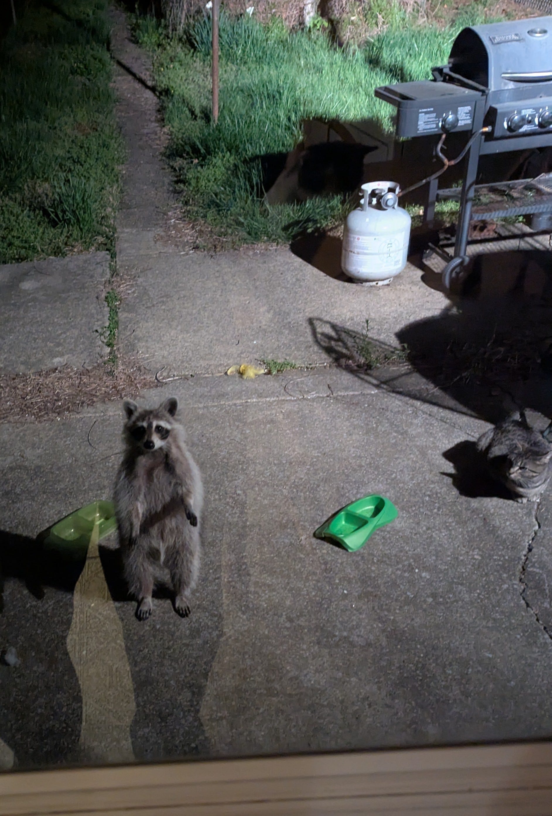 Dad Photo - Op Humour - by Robert Hockema