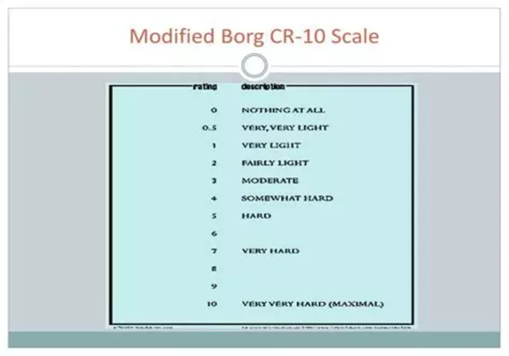 Testing the Borg assimilation process