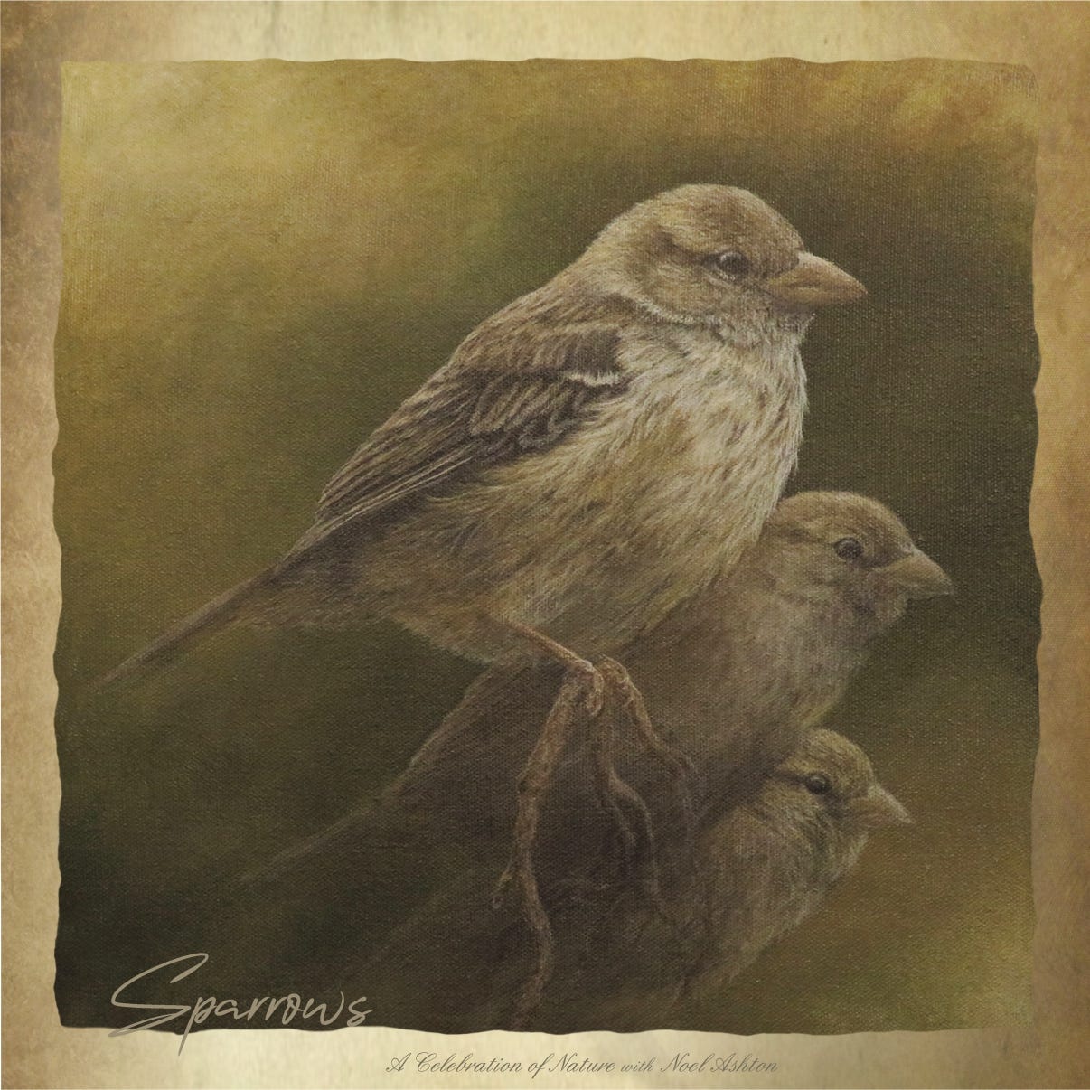 A Creative Celebration - Cheerful Sparrows - by Noel Ashton