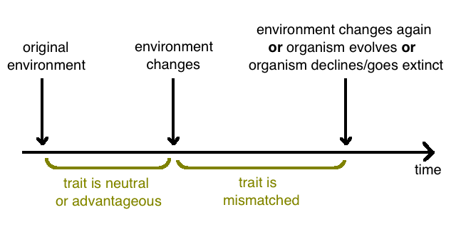 Future Shock: This Is What Happens When Humans Can No Longer Adapt To ...