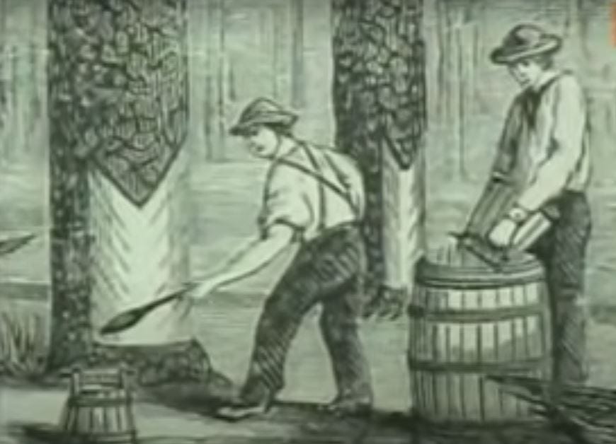 La pegajosa historia del chicle - by David Ágreda