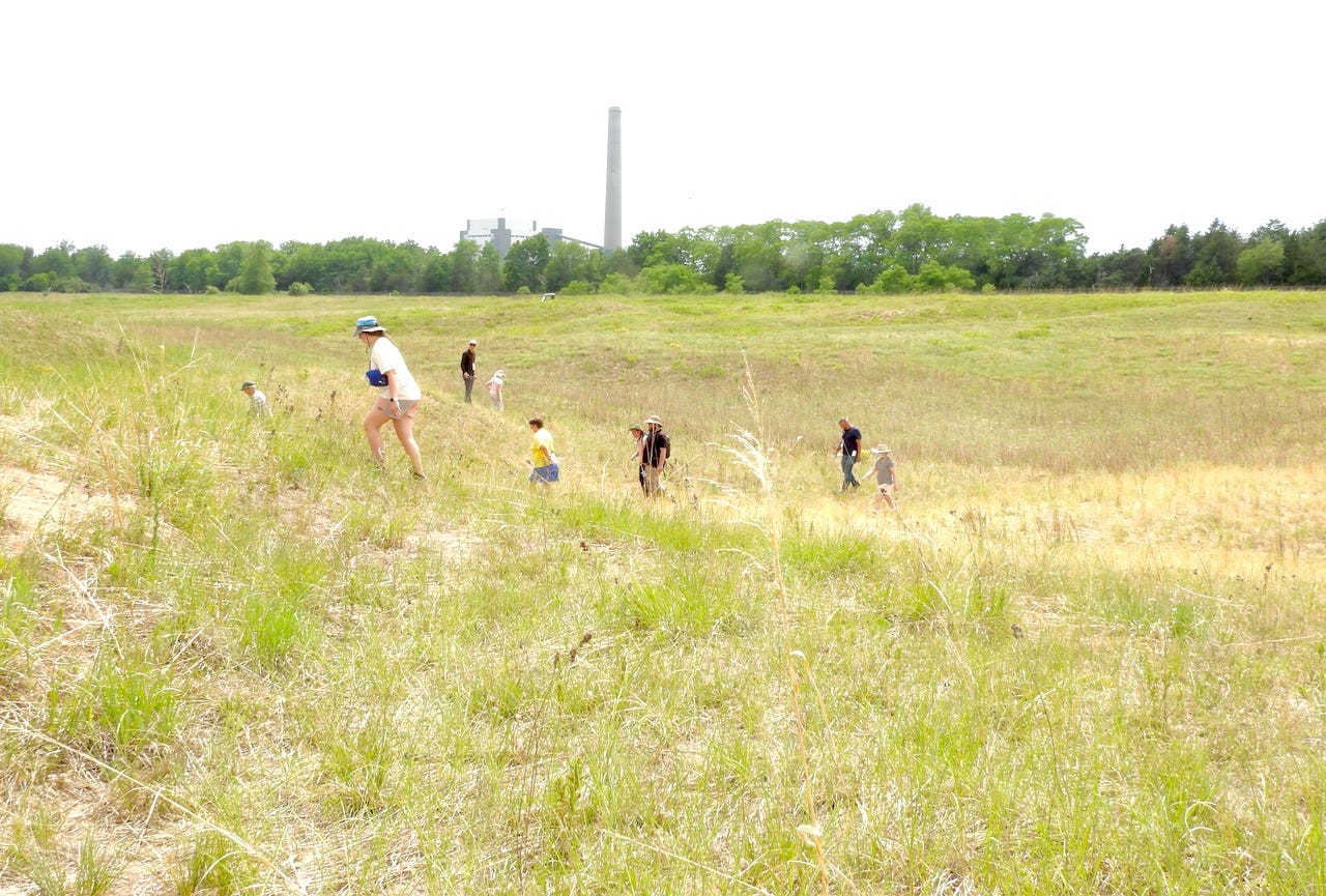 Big Sand Mound - by Larry Stone - Listening to the Land