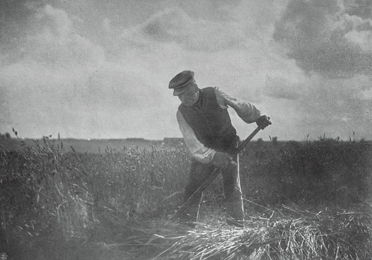 What does a normal man value? - The Normal Man