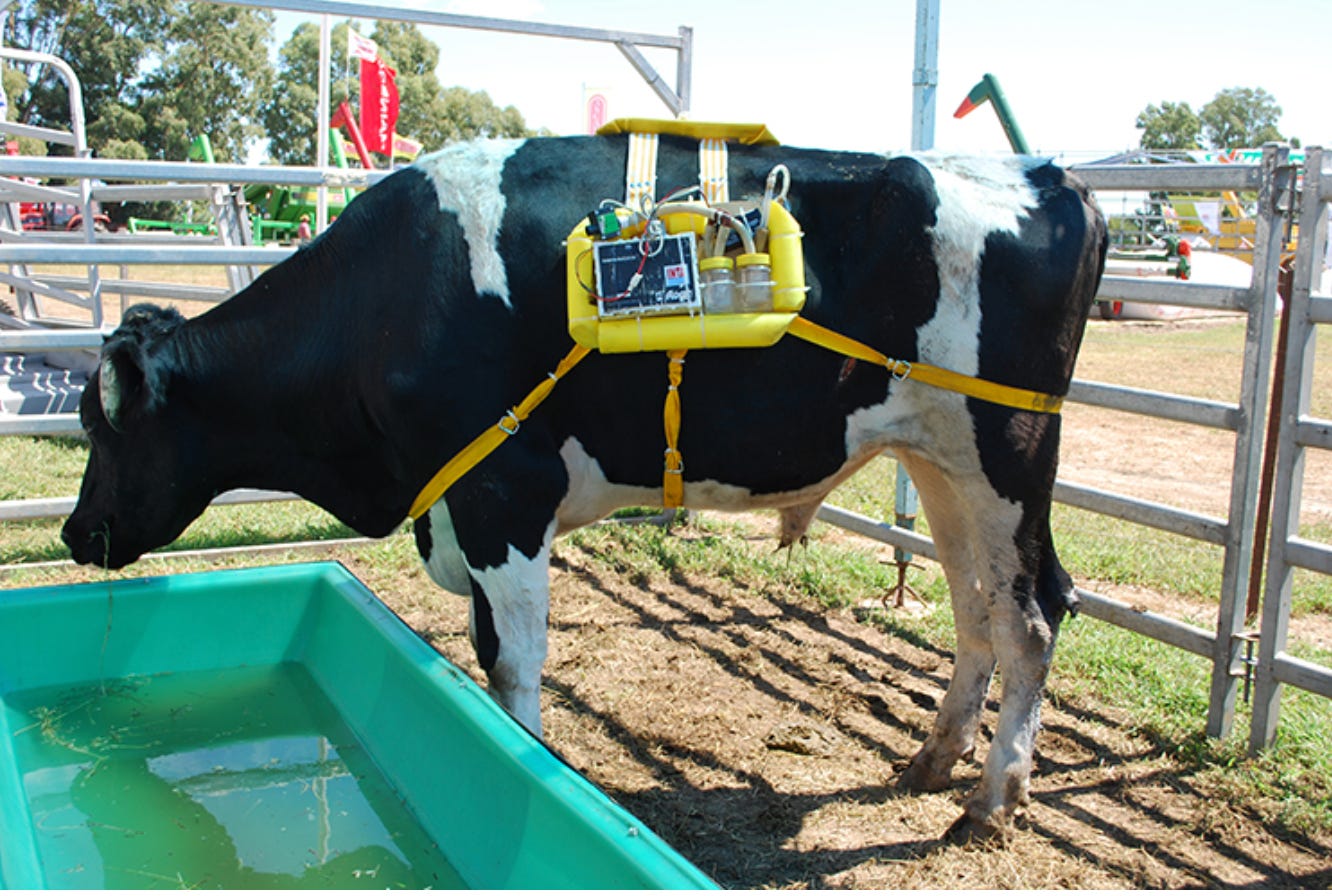 Permian Basin Methane Emissions Remain Low Despite Near-Record Production