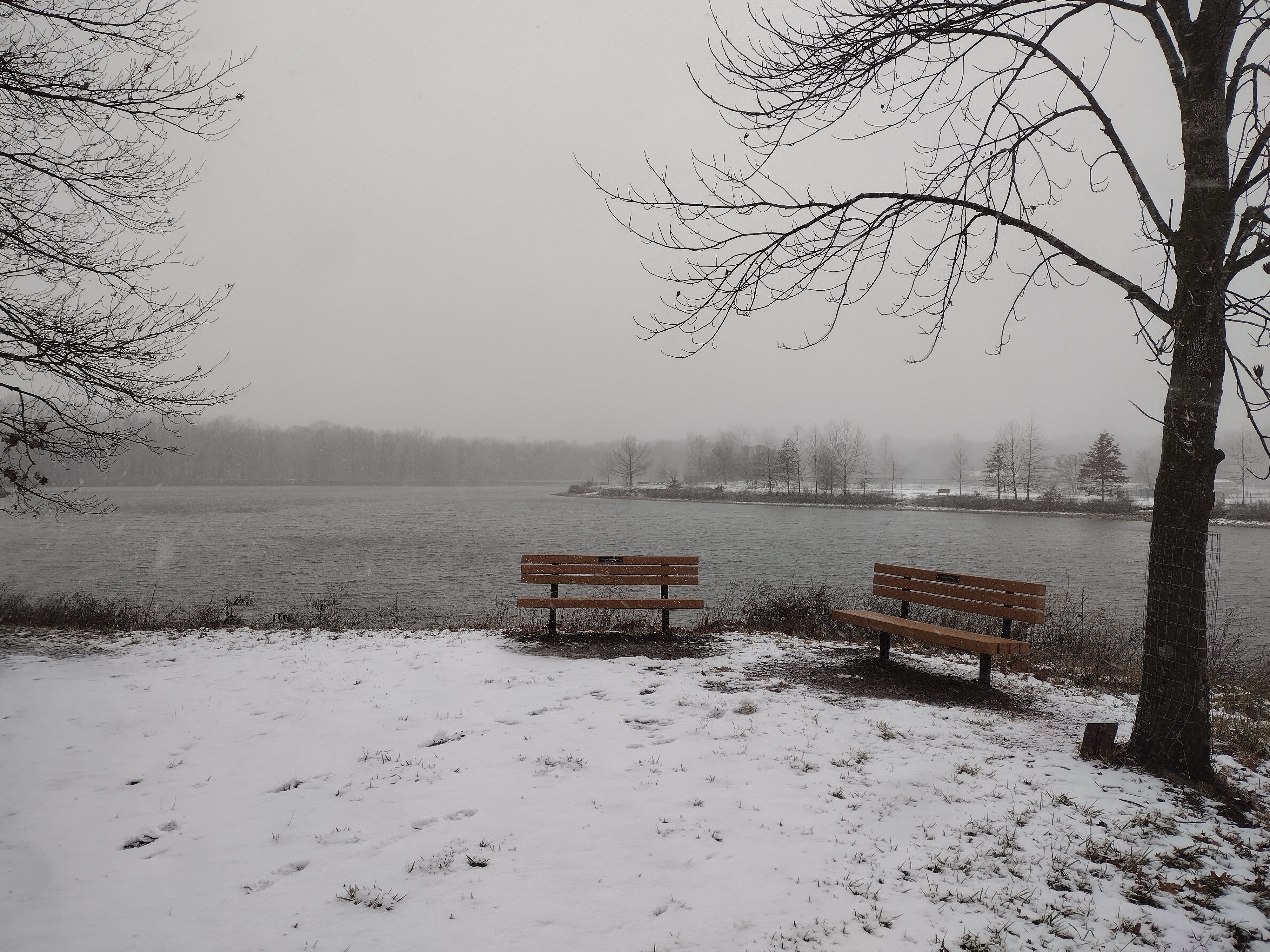 Benches - by Chris Wielga - How to Walk in America