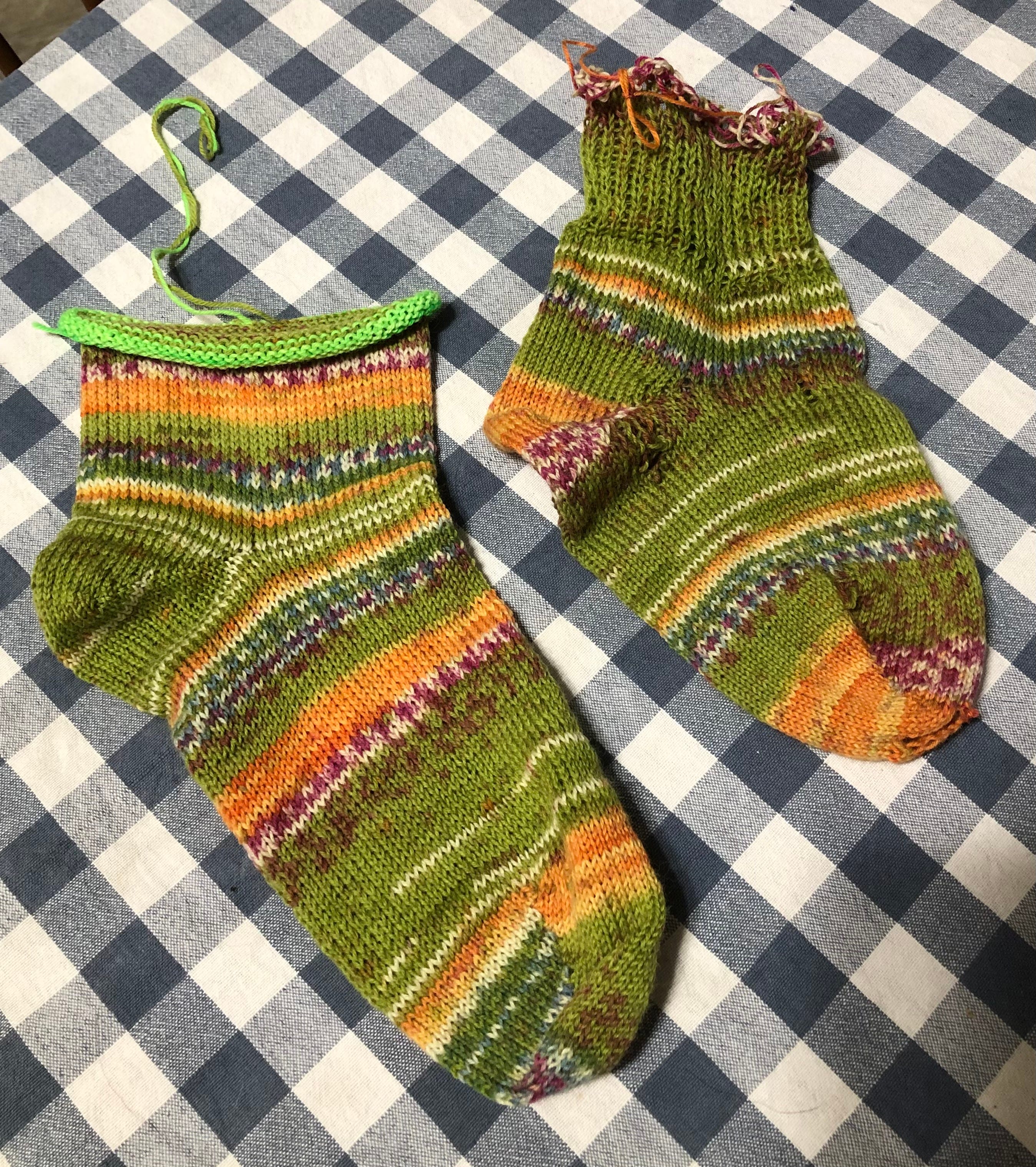 Making Friends with a CSM - Fat Turkey Farm