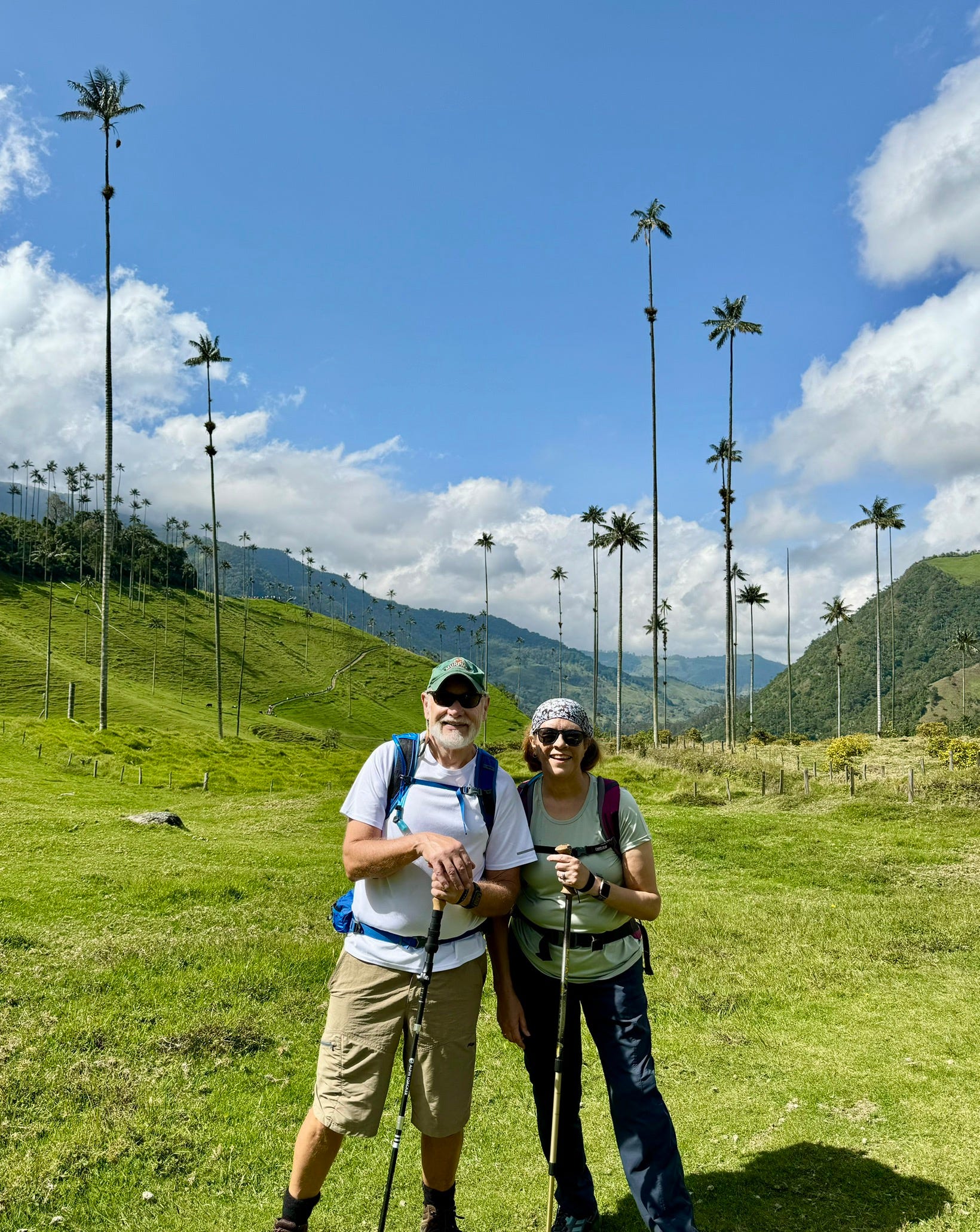 Gigi Phillips | Substack