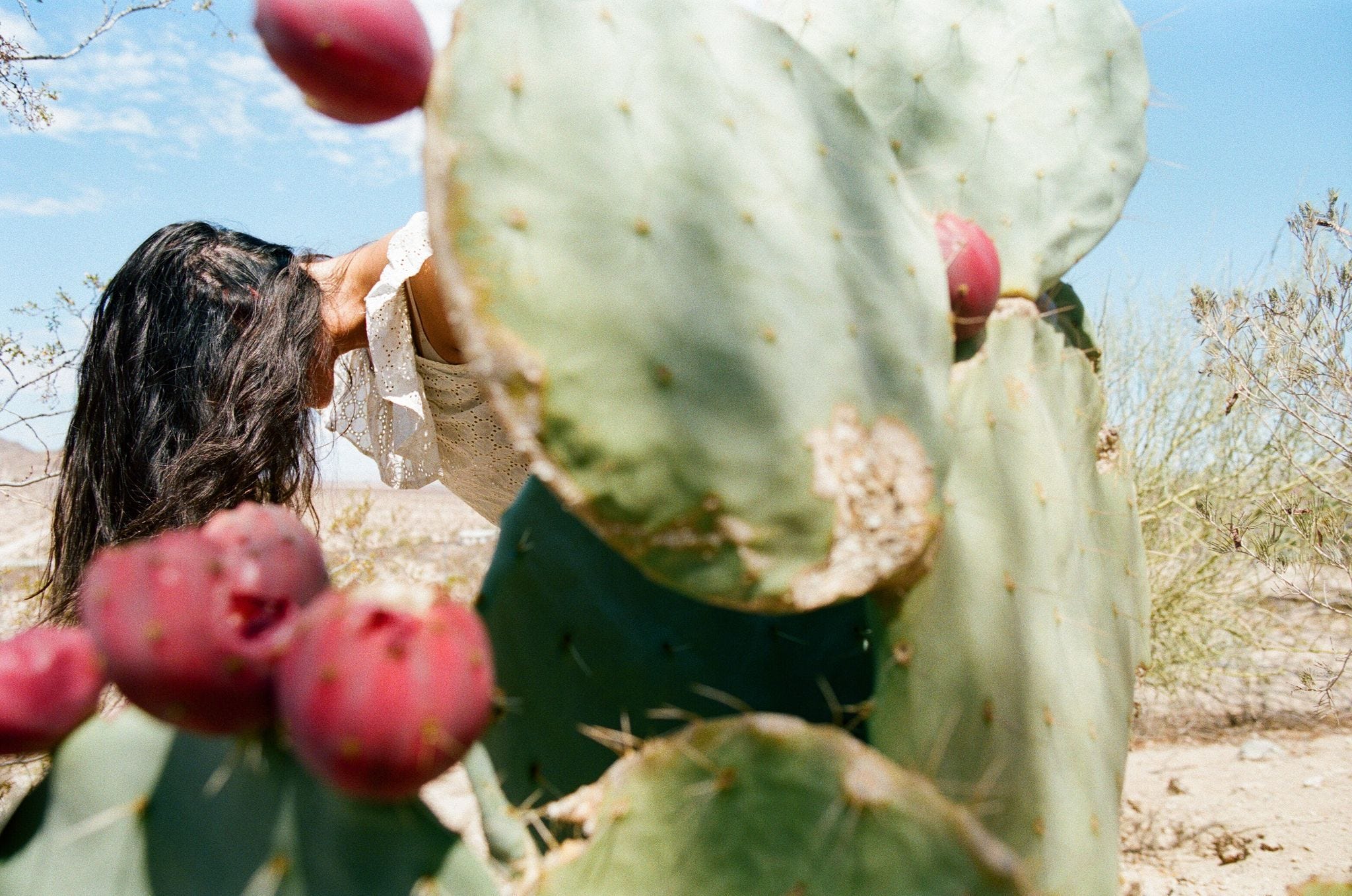 22 Truths on Creative Process - by Yan Palmer - Yan Land