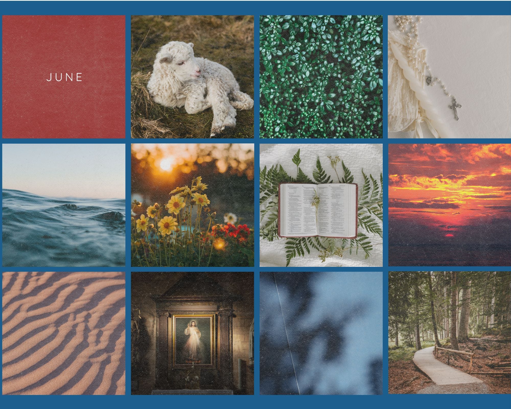 J U N E - Taylor’s Substack