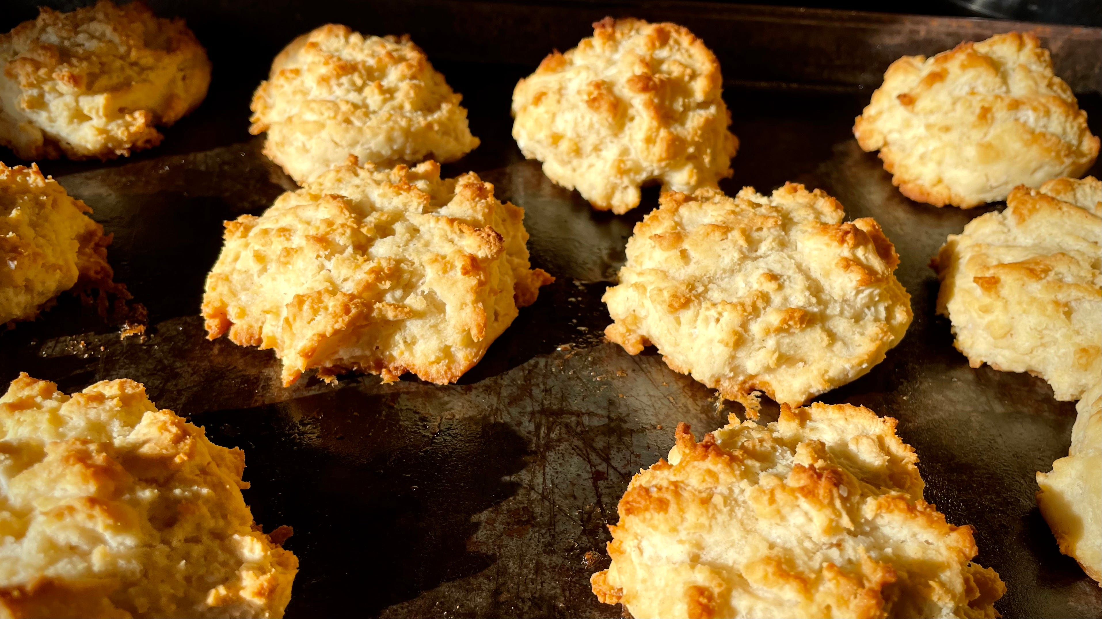 Biscuit Day #555: Home of the Dancing Biscuit