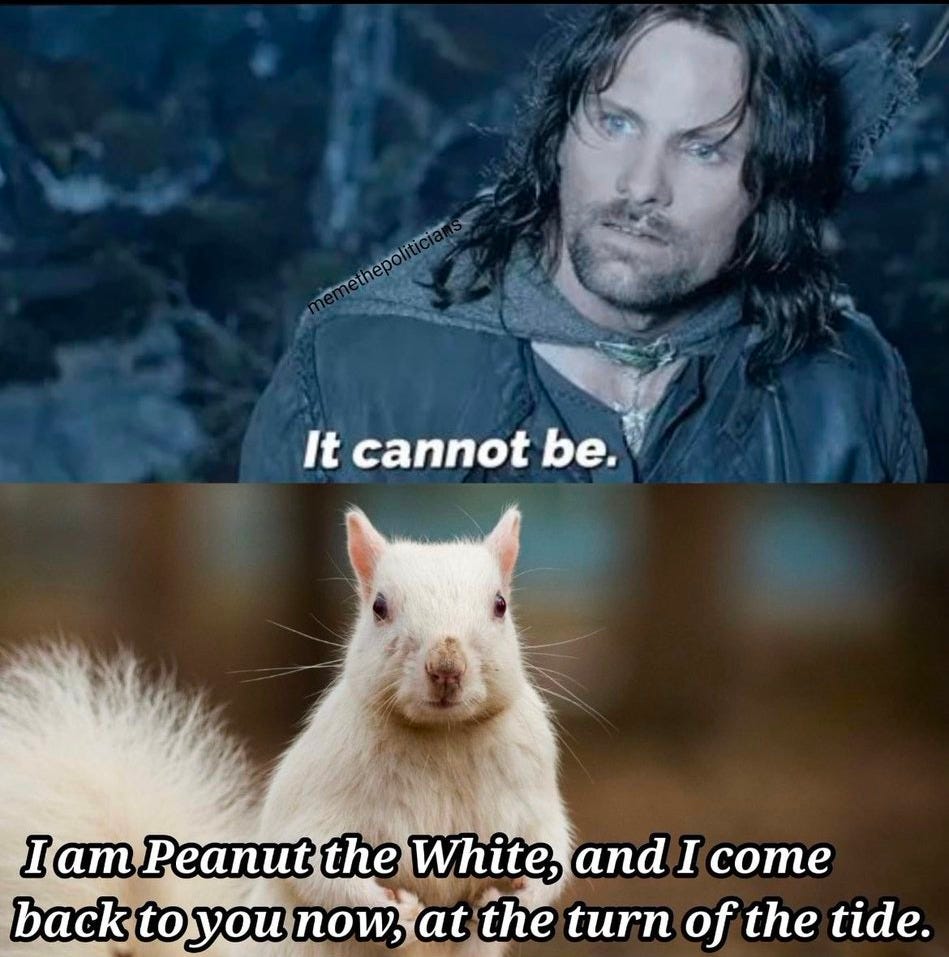 8 November 2024 - by Celia M Paddock - Jotting In Purple