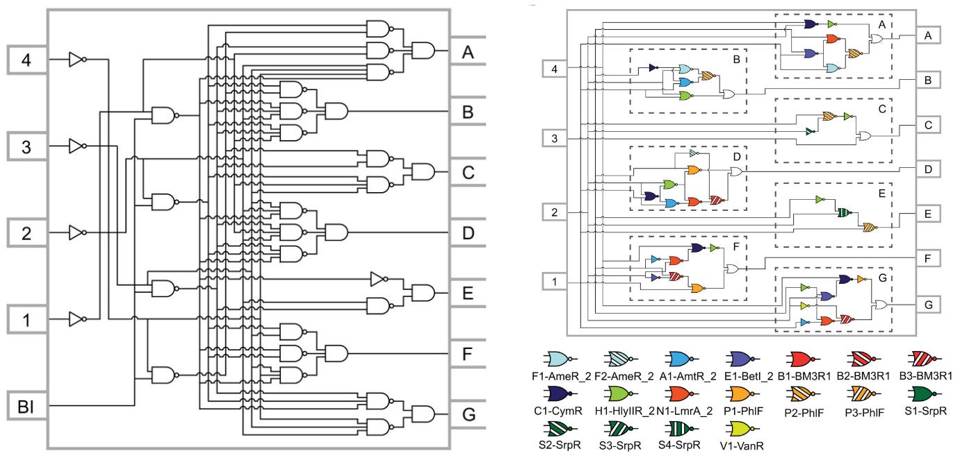 Genetic Design in 7 Experiments - Asimov Engineering Blog