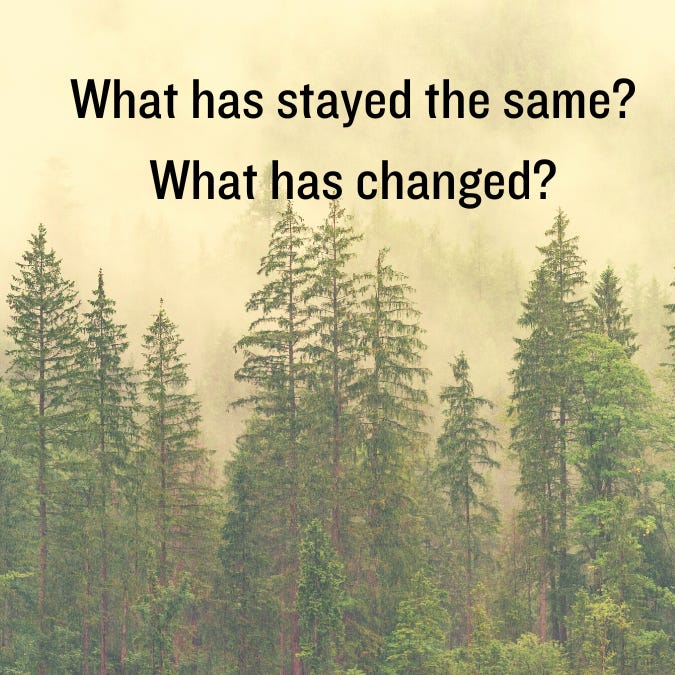 What has stayed the same? What has changed?