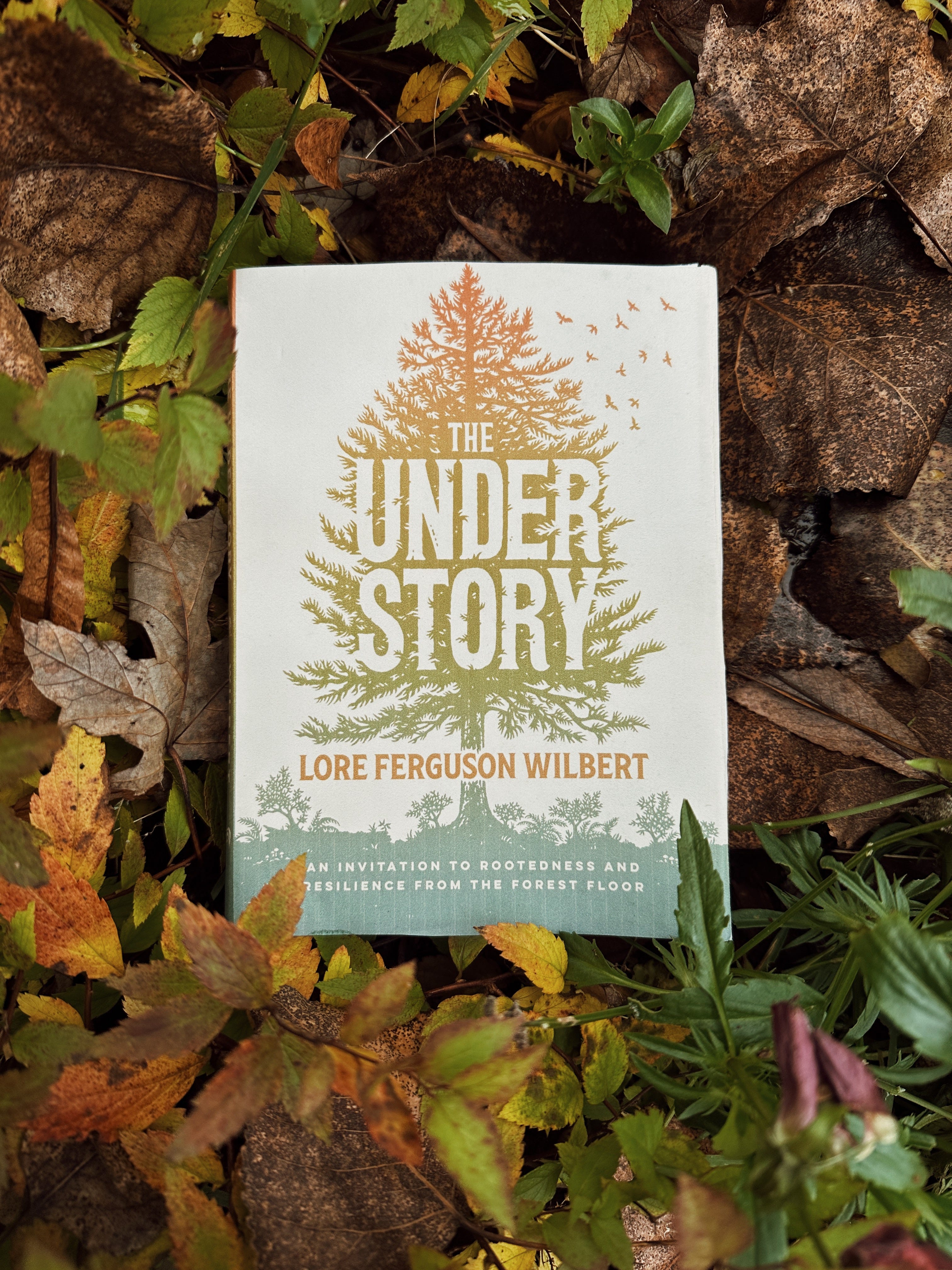 Evolution of a book title + cover - by Lore Wilbert