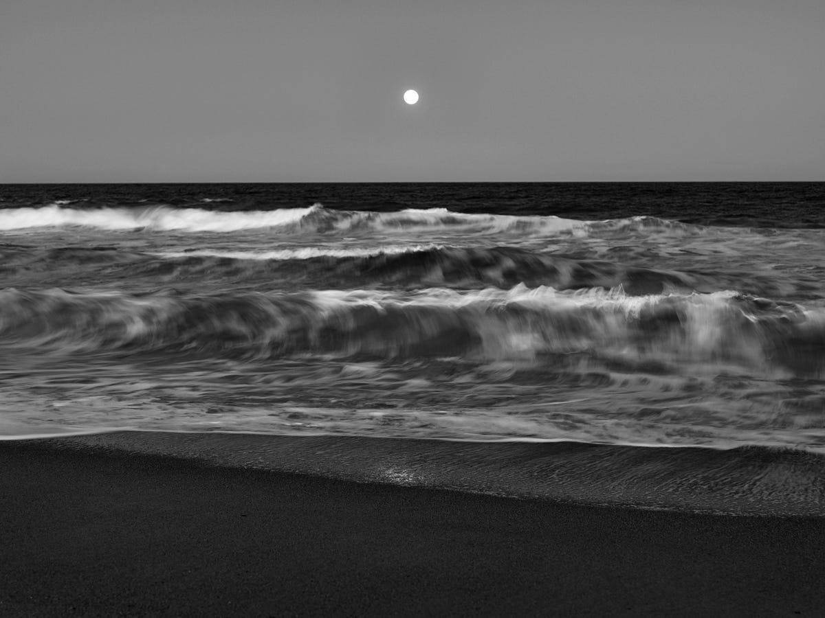 the pull of the photographic print - by Lee Anne White