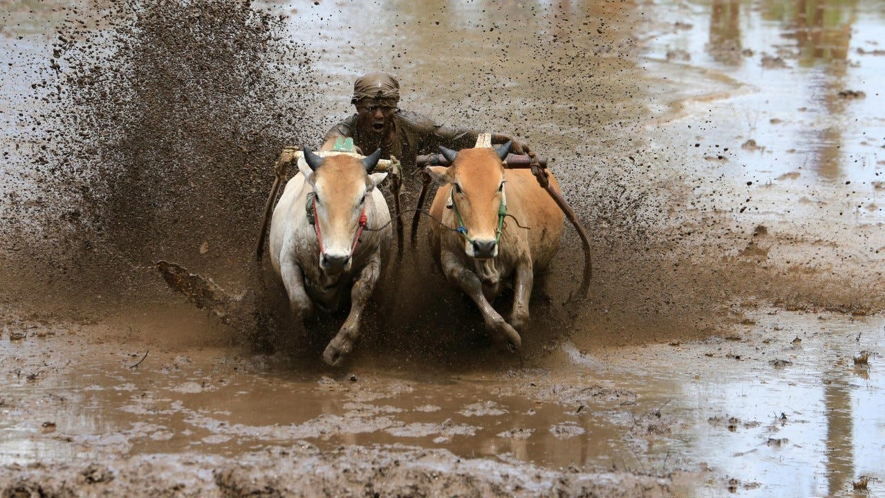 The Relentless Pursuit - by Gary Arlen - The Transform Sub