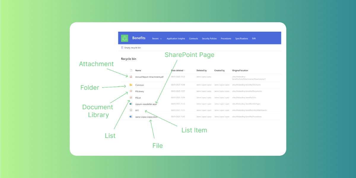 My SharePoint File Vanished, Don't Worry, It's Not Gone Forever