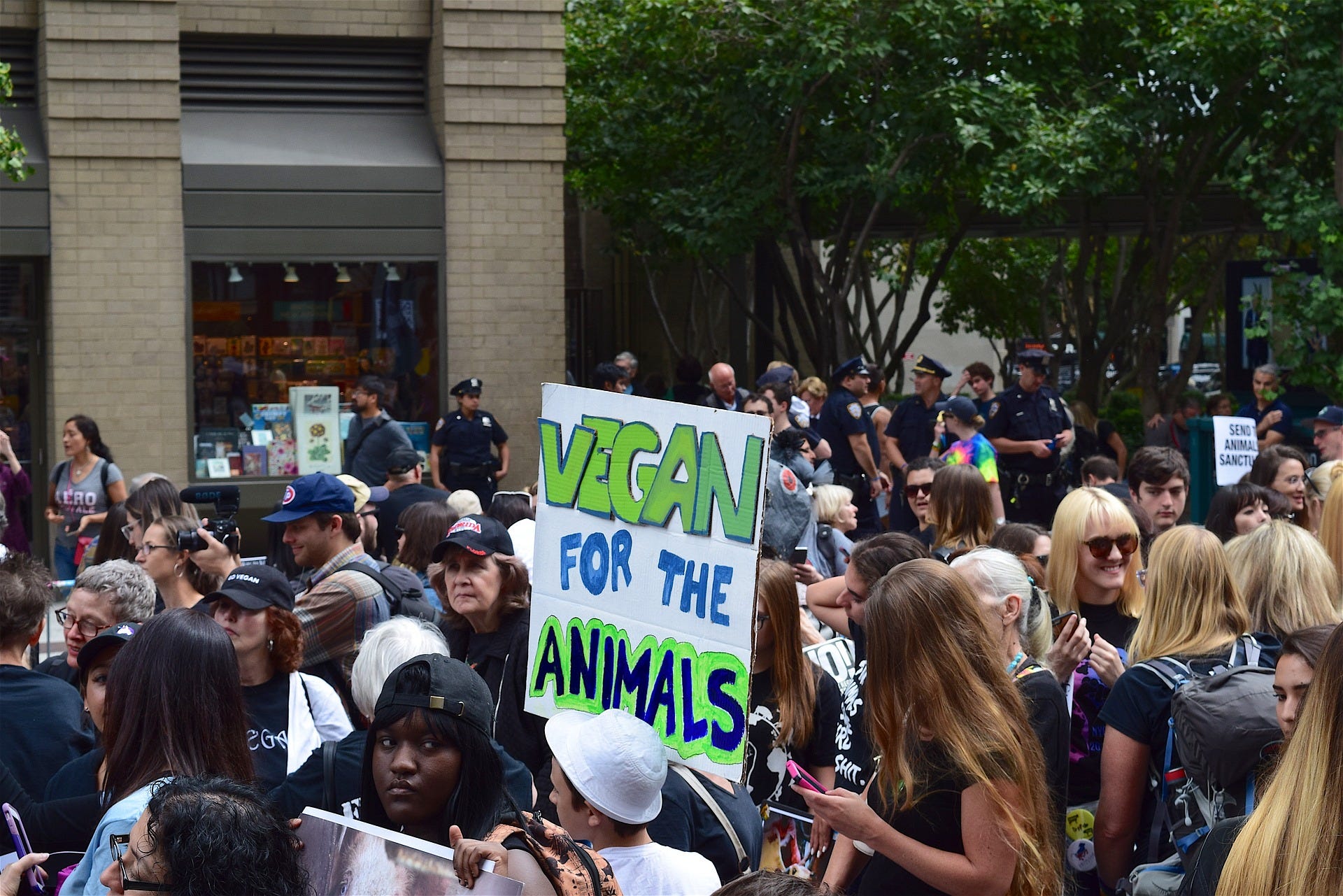 The Vegan Paradigm: Disrupting Animal Oppression and Human Violence