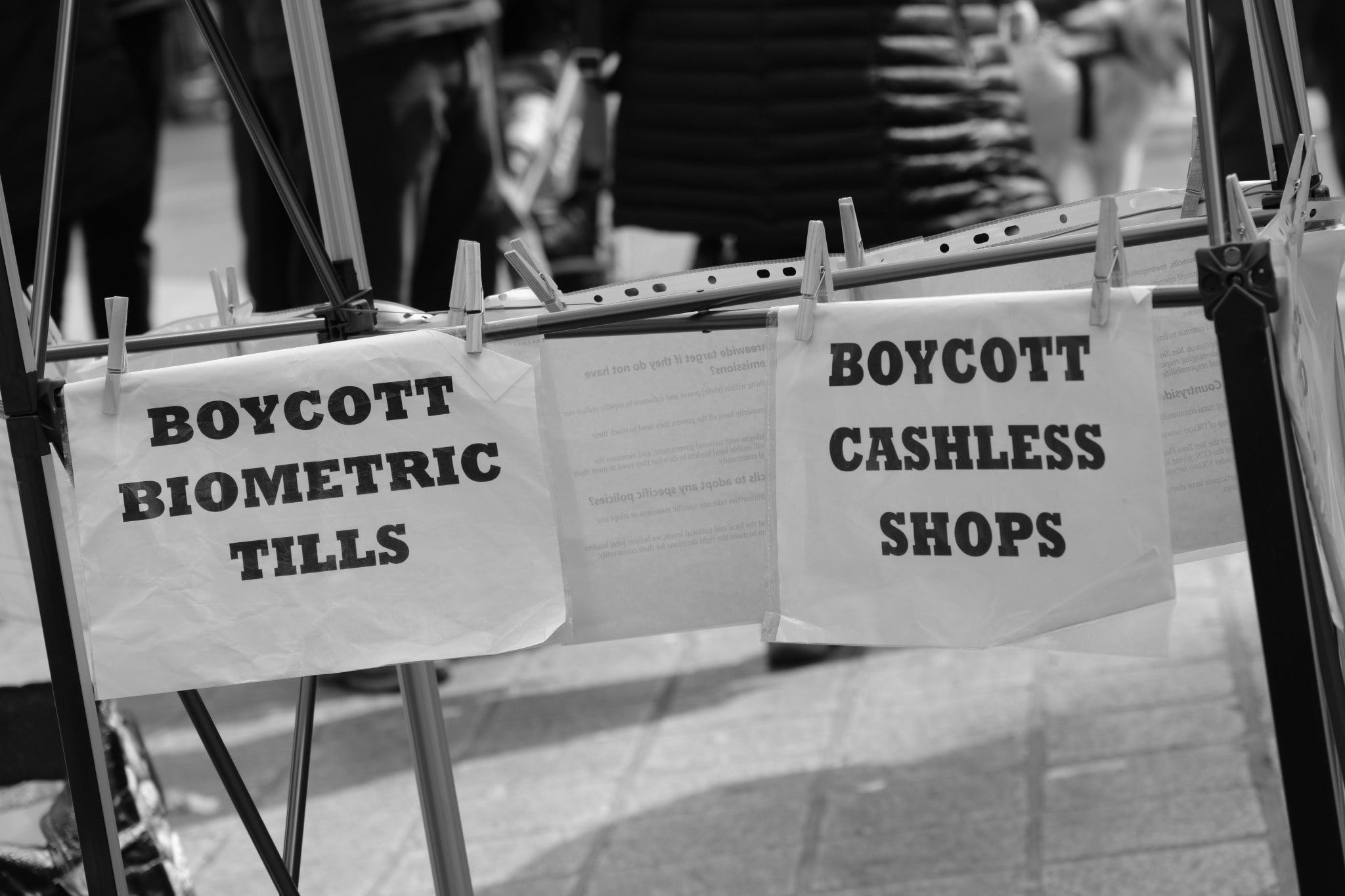 Learning to love the 'liminal limbo land'