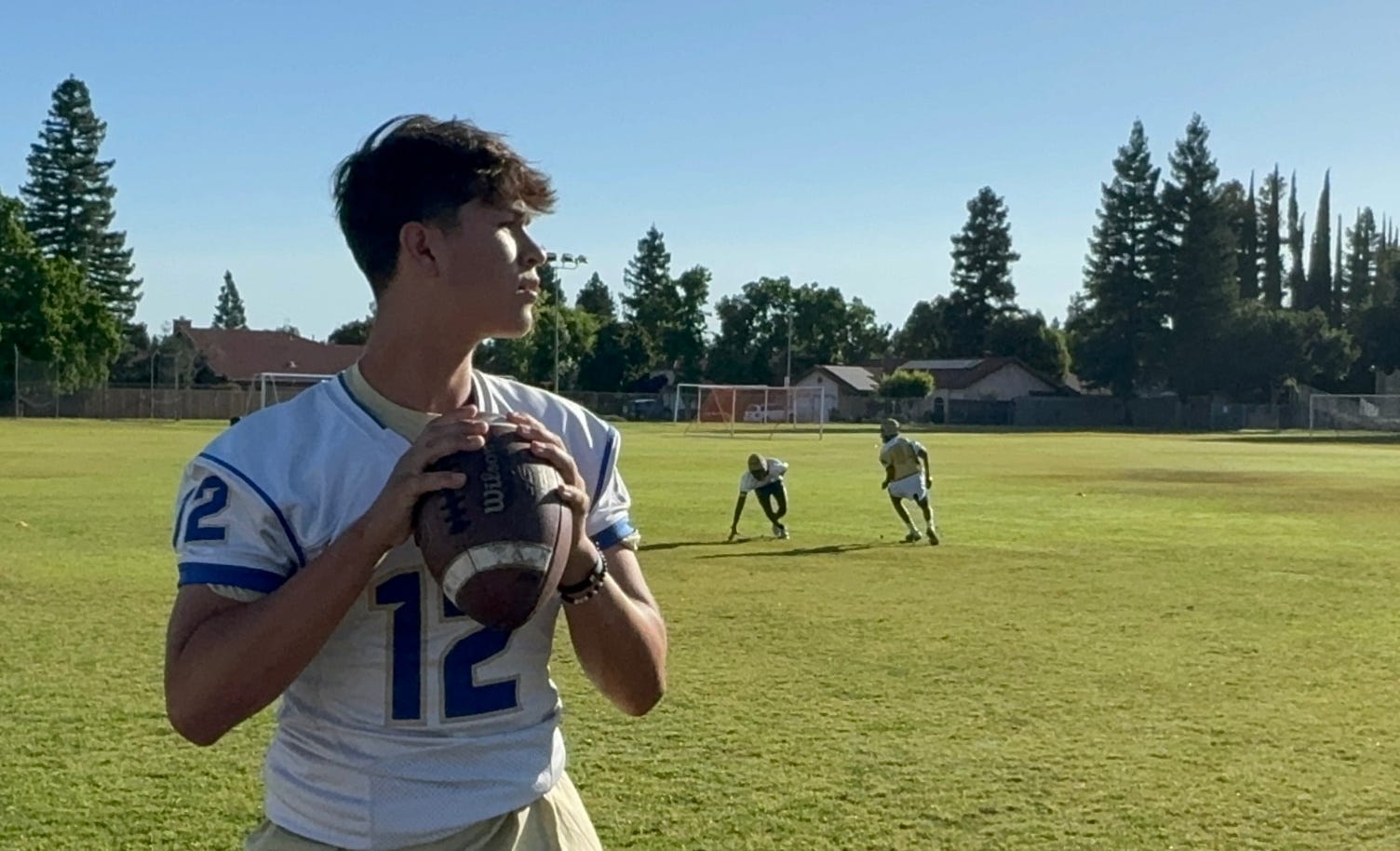 Canzano: An early look at a blooming Rose