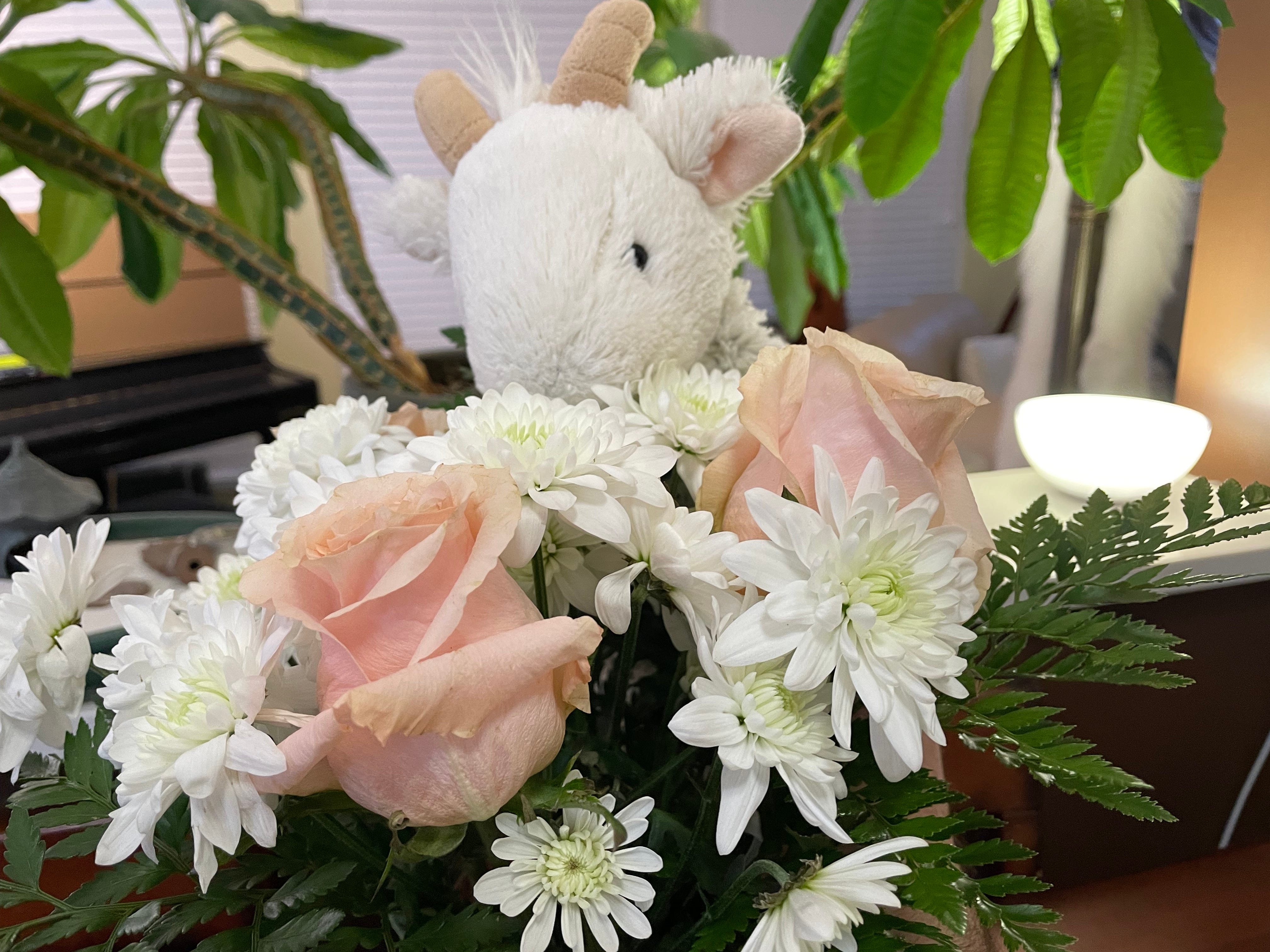 Rethinking retirement - by Heidi Turner - Thrifty Martini