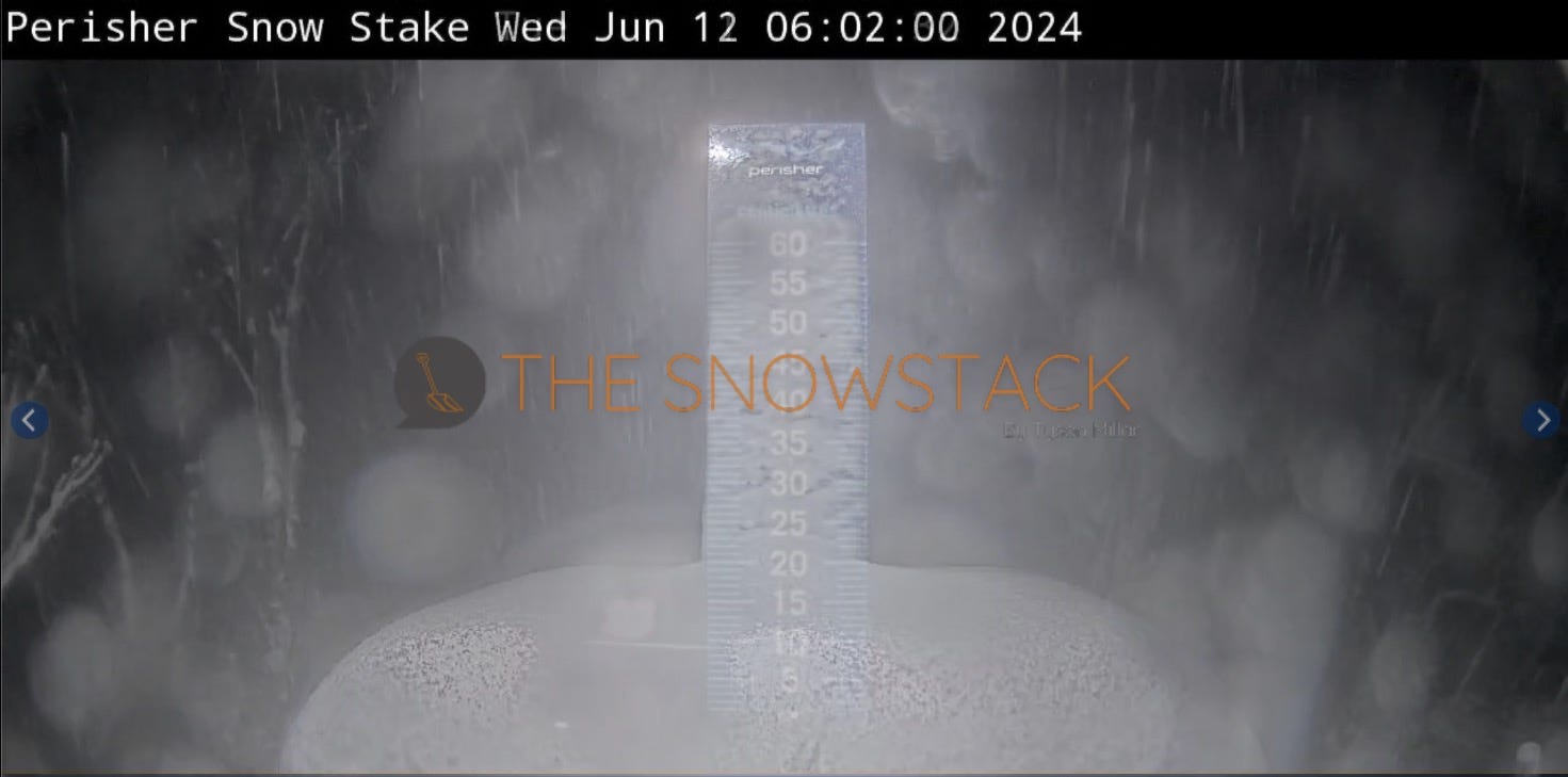 The 2024 Season Dusts off the Cobwebs - by Tyson Millar