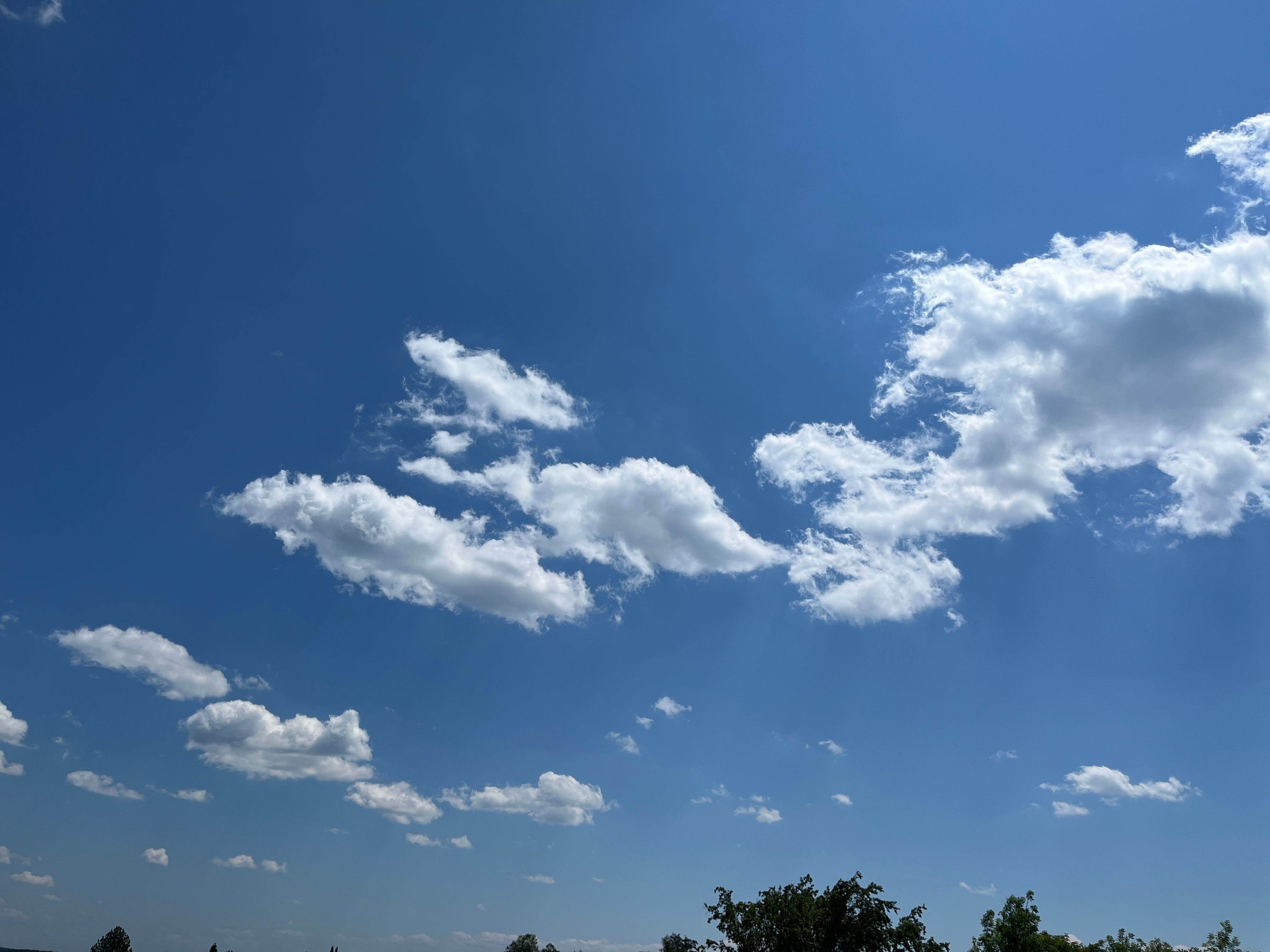 74 GENDERS? - by Tanja Boness - Change & Evolve Letter