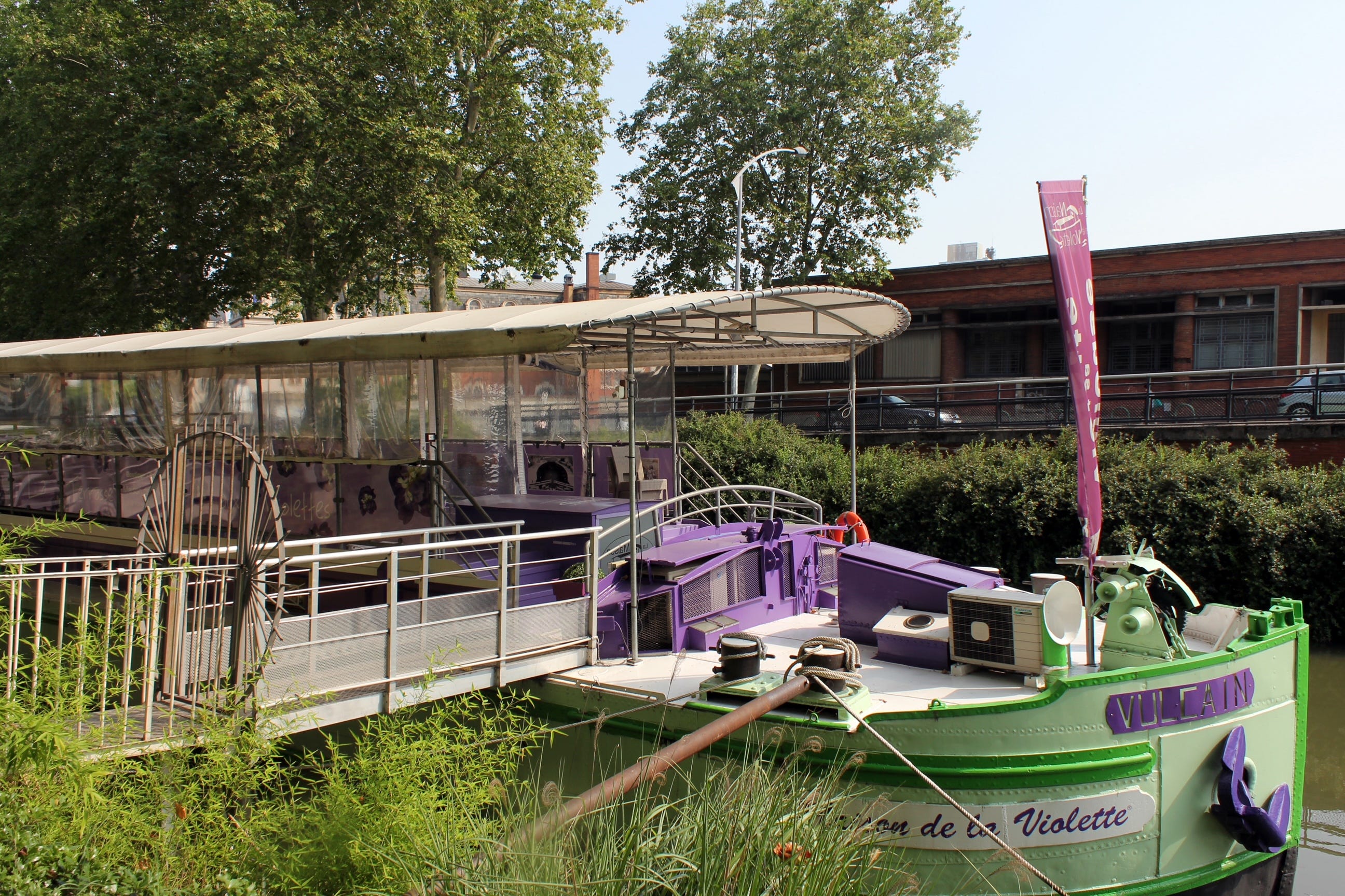 La Violette de Toulouse - by Paola Westbeek