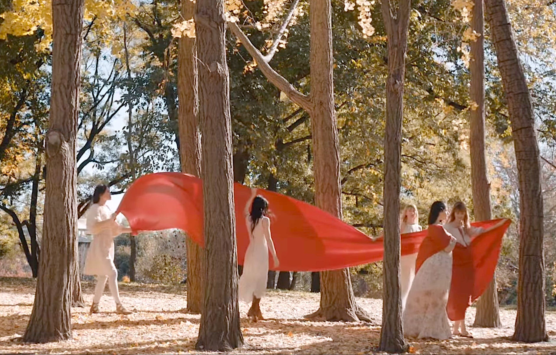 Prompt 298. Lost Dog, Lost Keys, Found Joy