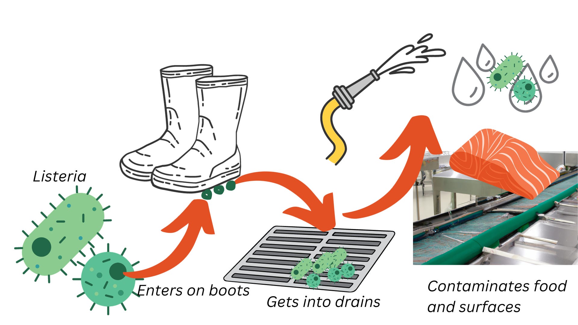 Listeria 101: Characteristics, Controls, Latest Research and Guidance