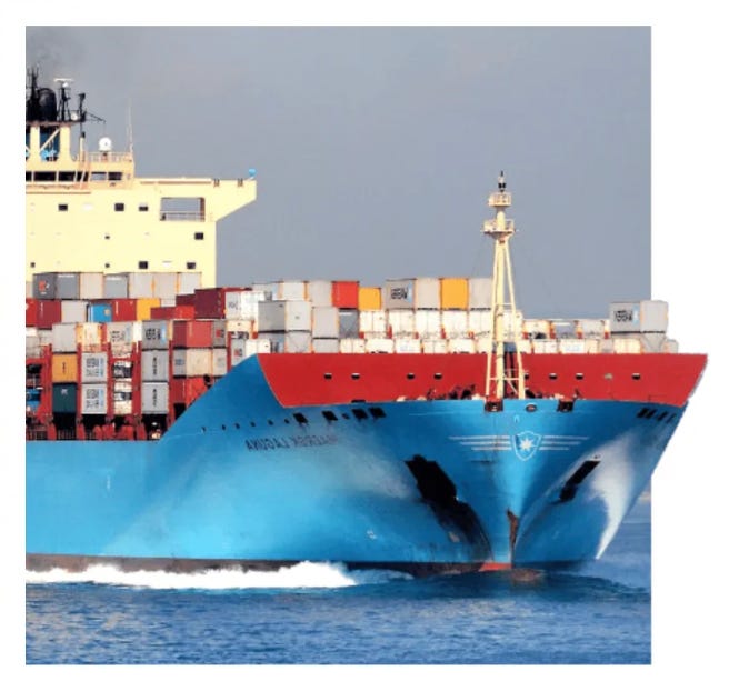 Leading Economic Indicators - by Robert W Malone MD, MS