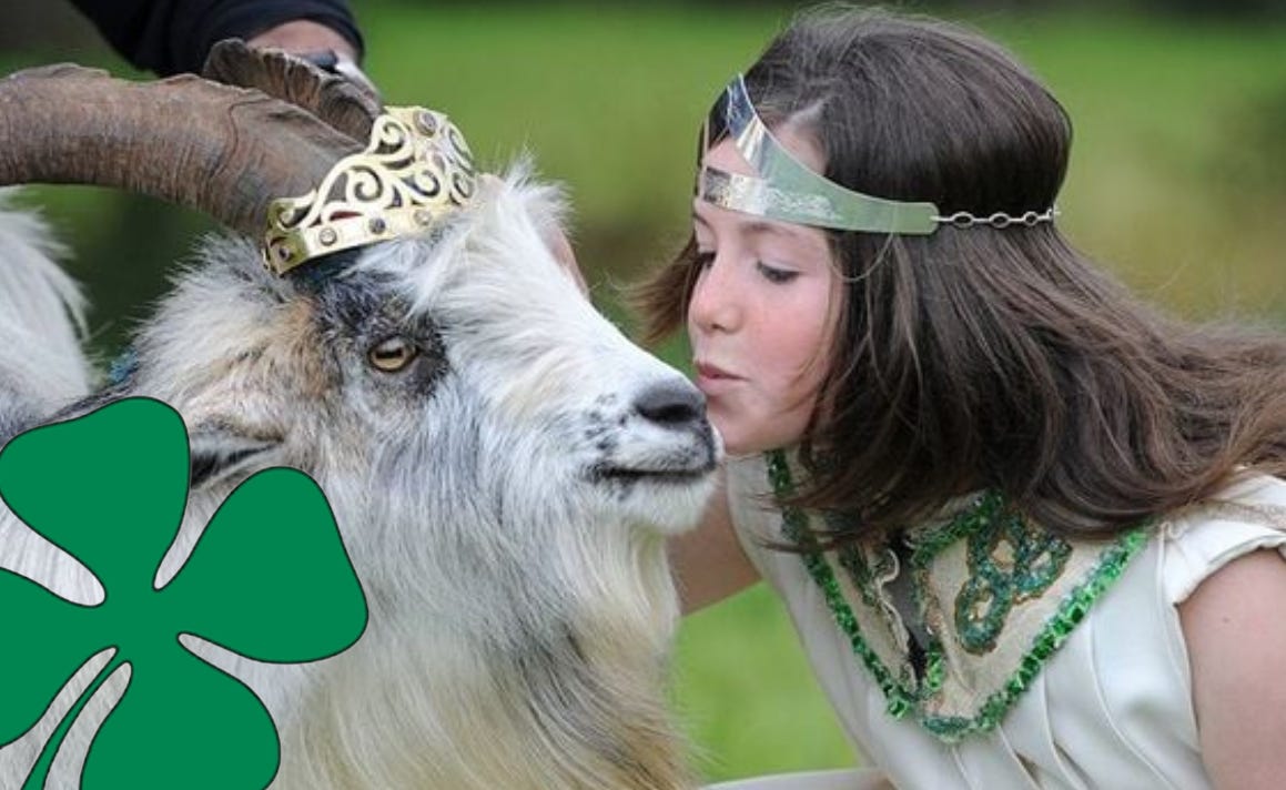 Regele Țap - by Victor 🇮🇪 - Irlanda.ie