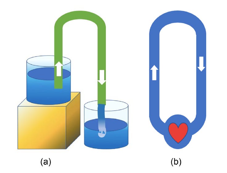 Is the Heart Really a Pump? New Perspectives on Cardiovascular Physiology