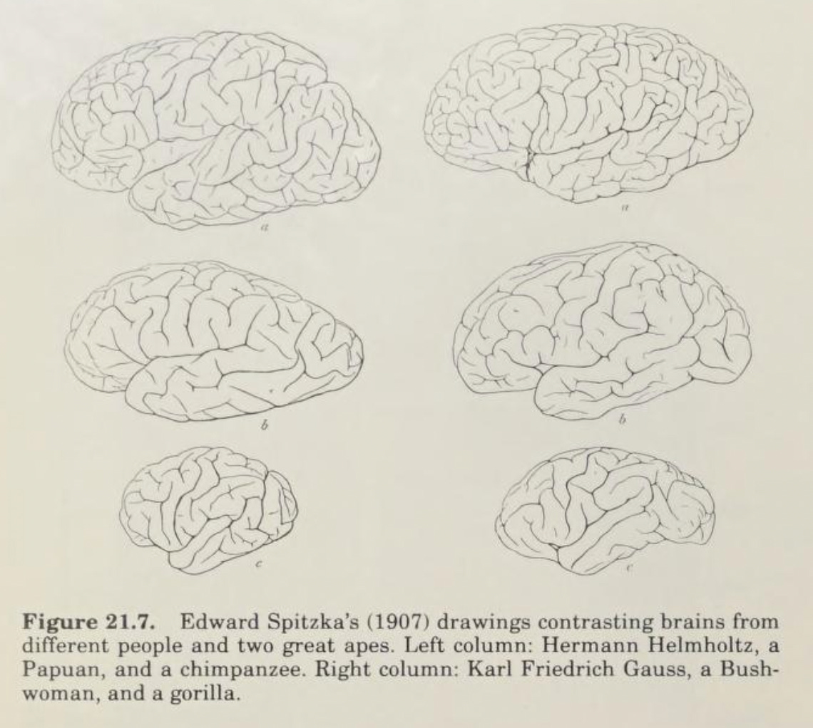 Lenin's Brain - King Cnut
