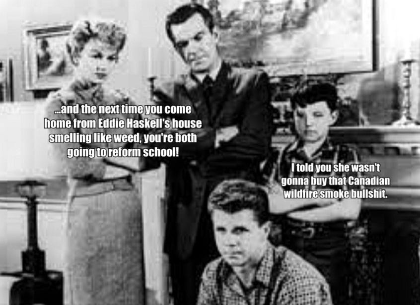 30 Days of June Cleaver Memes: Day #7 - PCS Nation