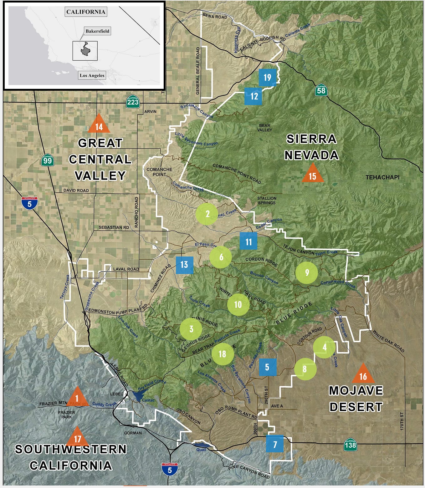 Poppy Delirium at Tejon Ranch - by Sarah Bowman