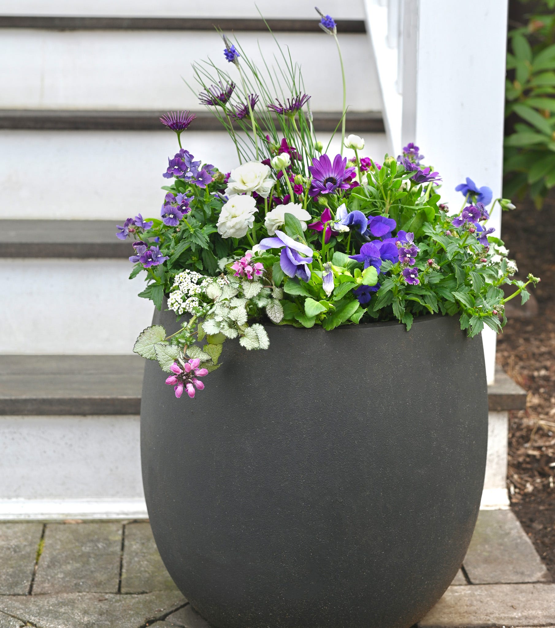 Spring into Style: The Inspired Garden's Guide to Selecting Containers