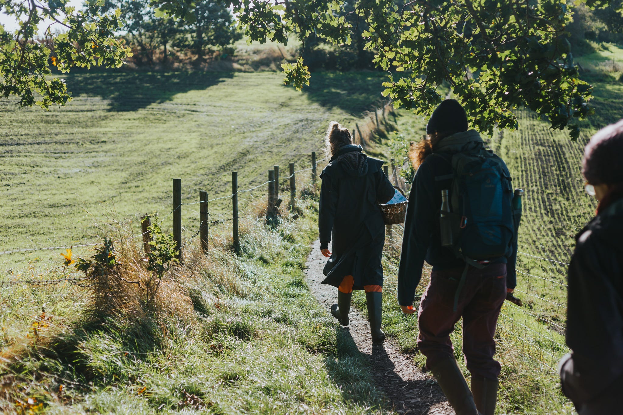 Autumn Time Remedy - by Hannah-May Batley