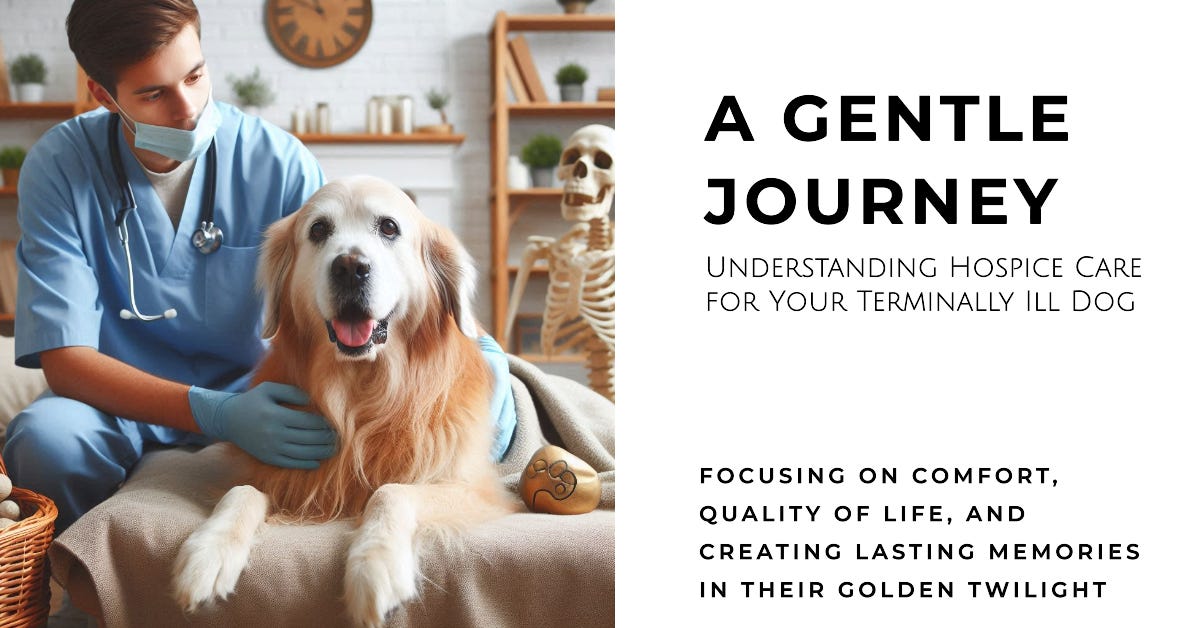 A Gentle Journey: Understanding Hospice Care for Your Terminally Ill Dog
