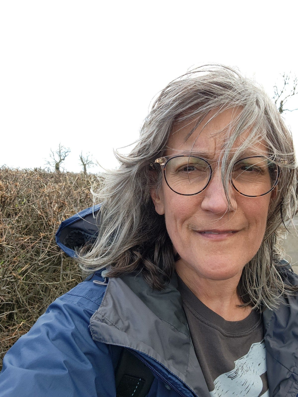 J. Catherine Tetrault | Substack