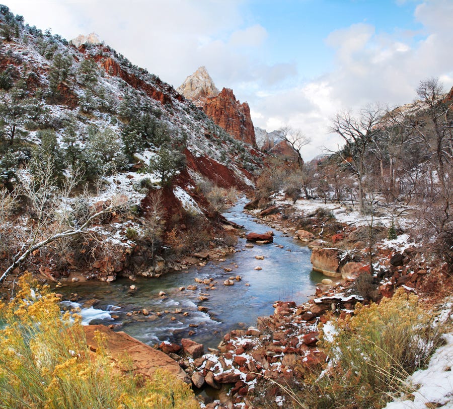 Happy Thanksgiving! - by VICKI FELMLEE - VICKI’s Substack