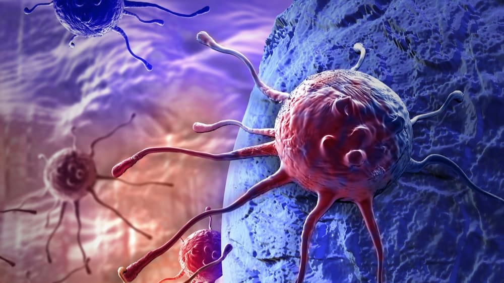 Sicher und wirksam! Die Warnung der Ärzte hat sich bewahrheitet. Krebs ...