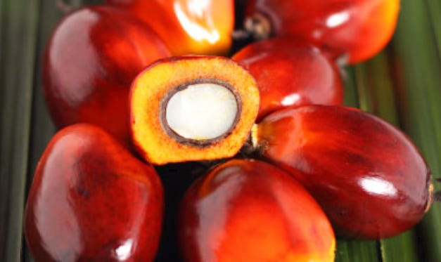 Introducing R E A Holdings - The Oak Bloke’s Substack