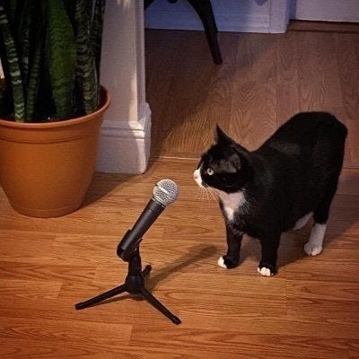 Sofía Gatica | Substack