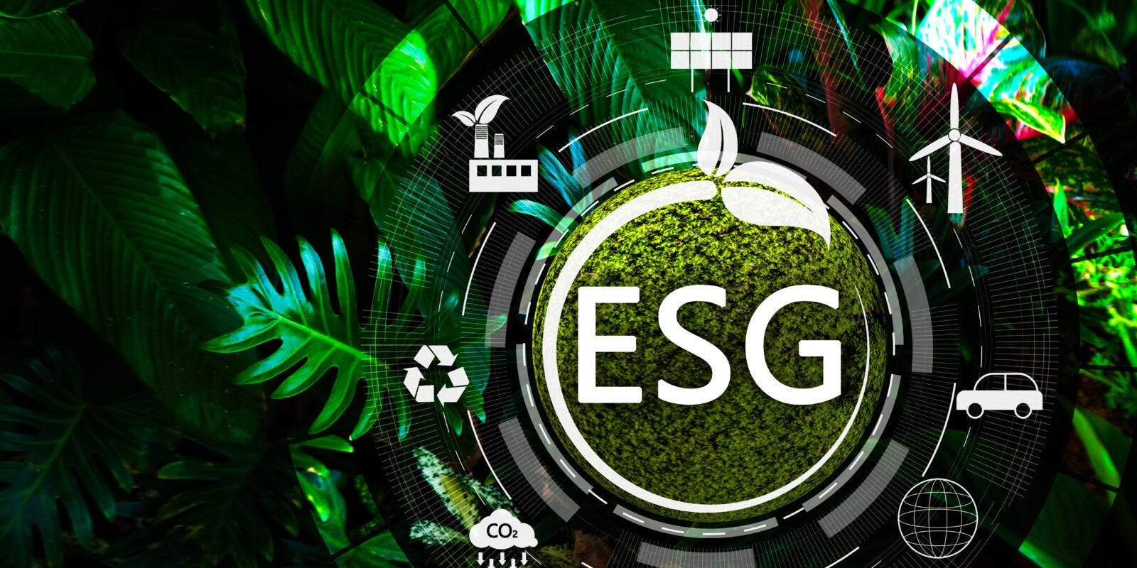 Red and Blue States Take Sides in Federal ESG Fight
