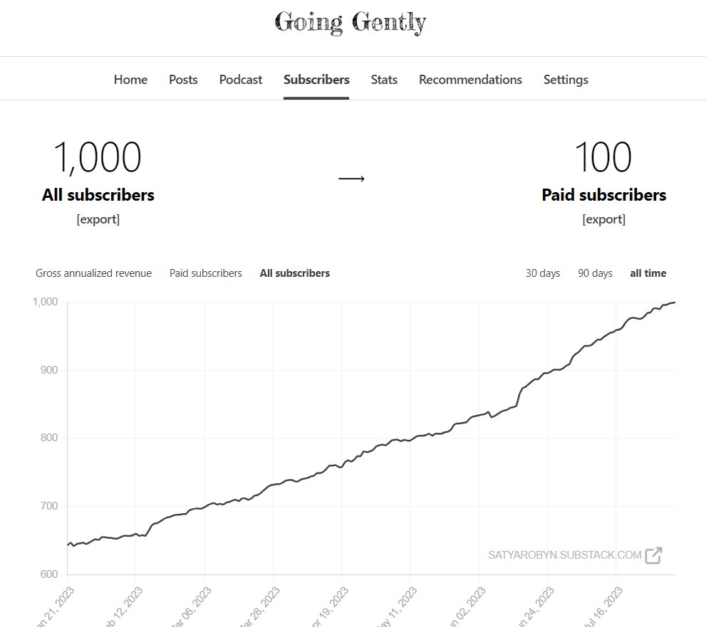 The Going Gently Guide to Success - by Satya Robyn