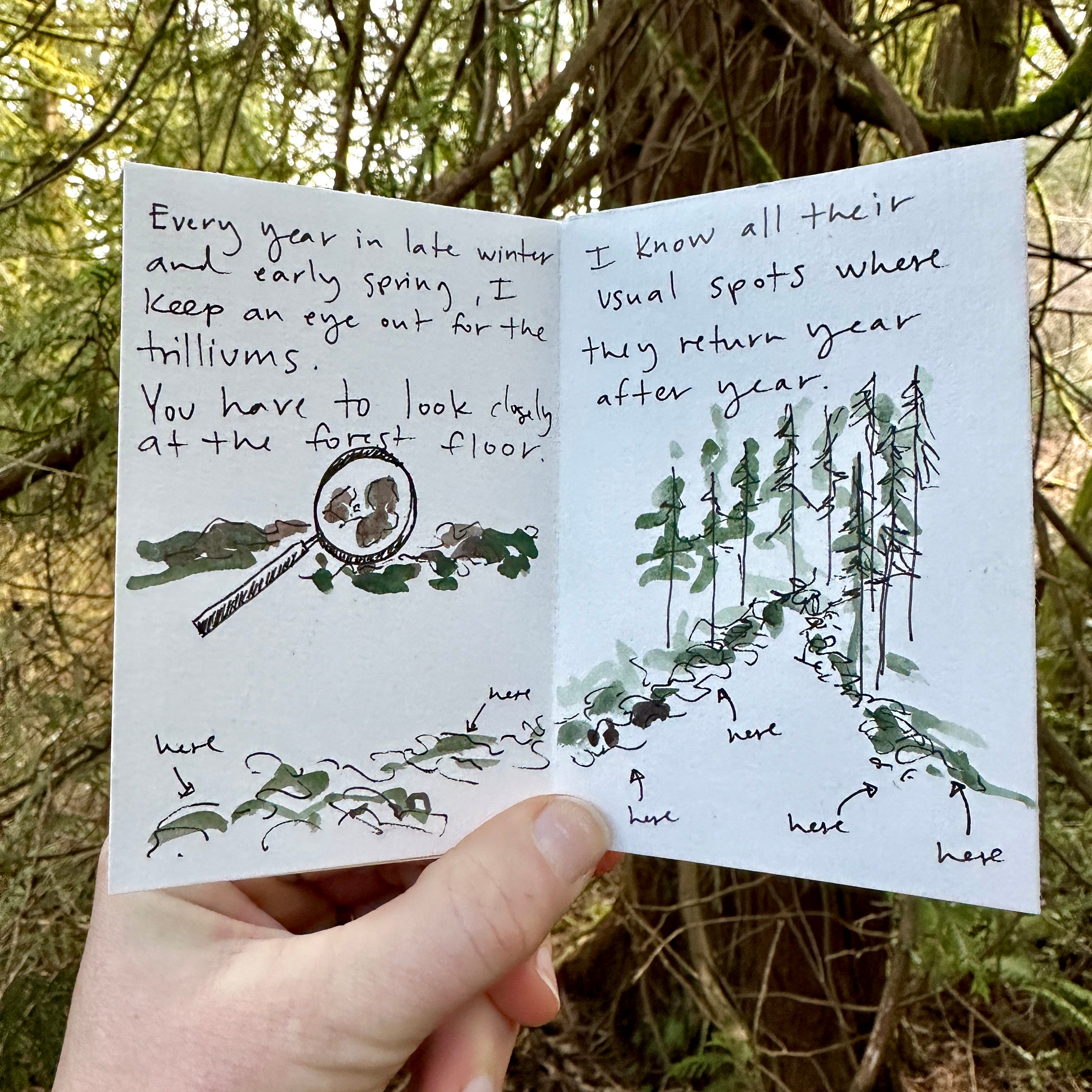 The Power of Zines - Creative Fuel with Anna Brones