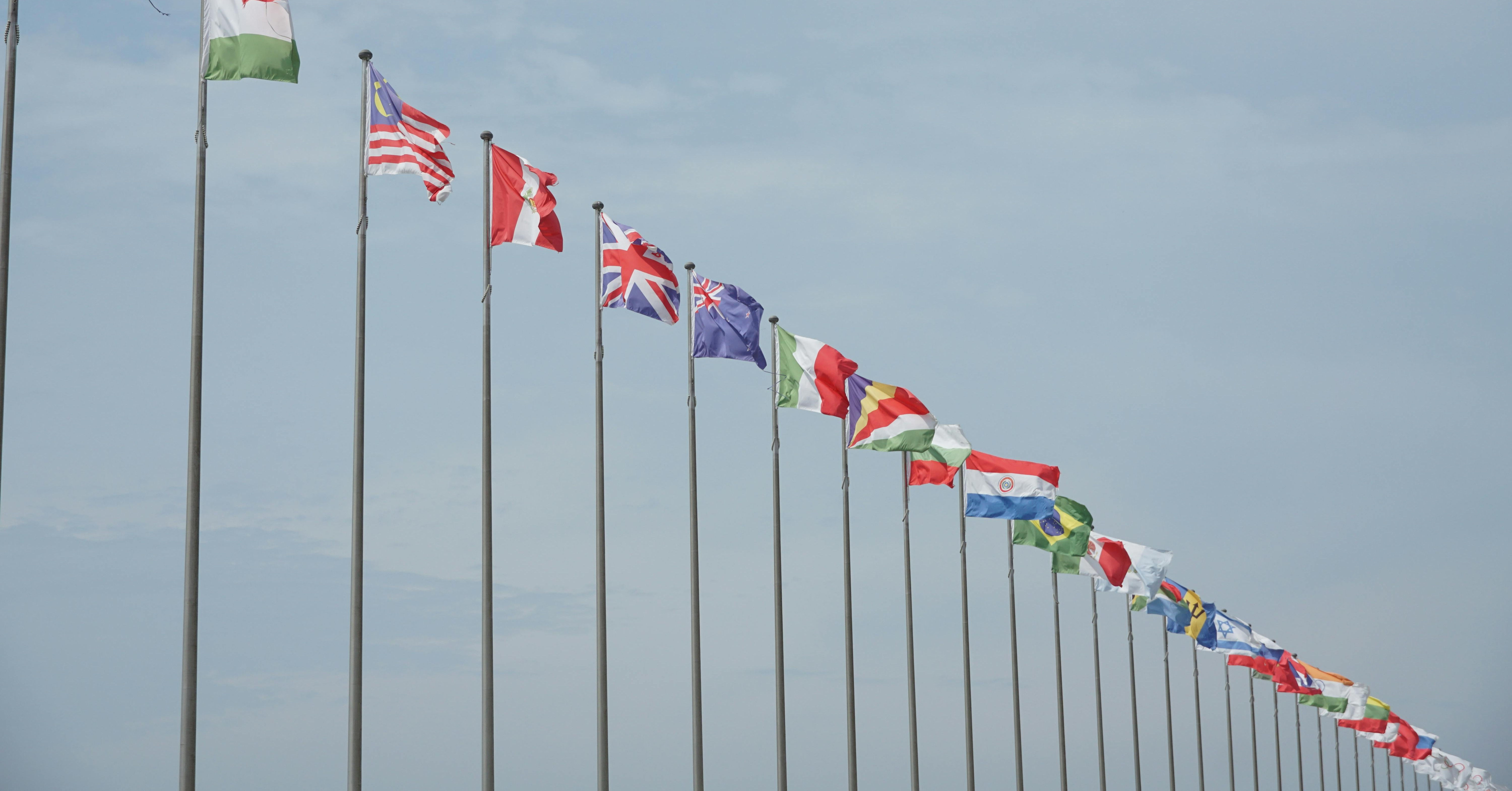 Here's an Idea: Flaggy Fridays - JUNO magazine